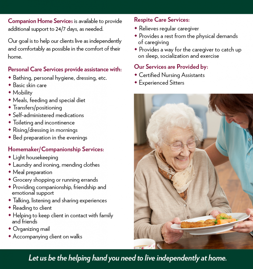 Companion HS Brochure [8 x 8.5] – S & S Printing